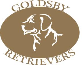 Training – Goldsby Retrievers & Obedience